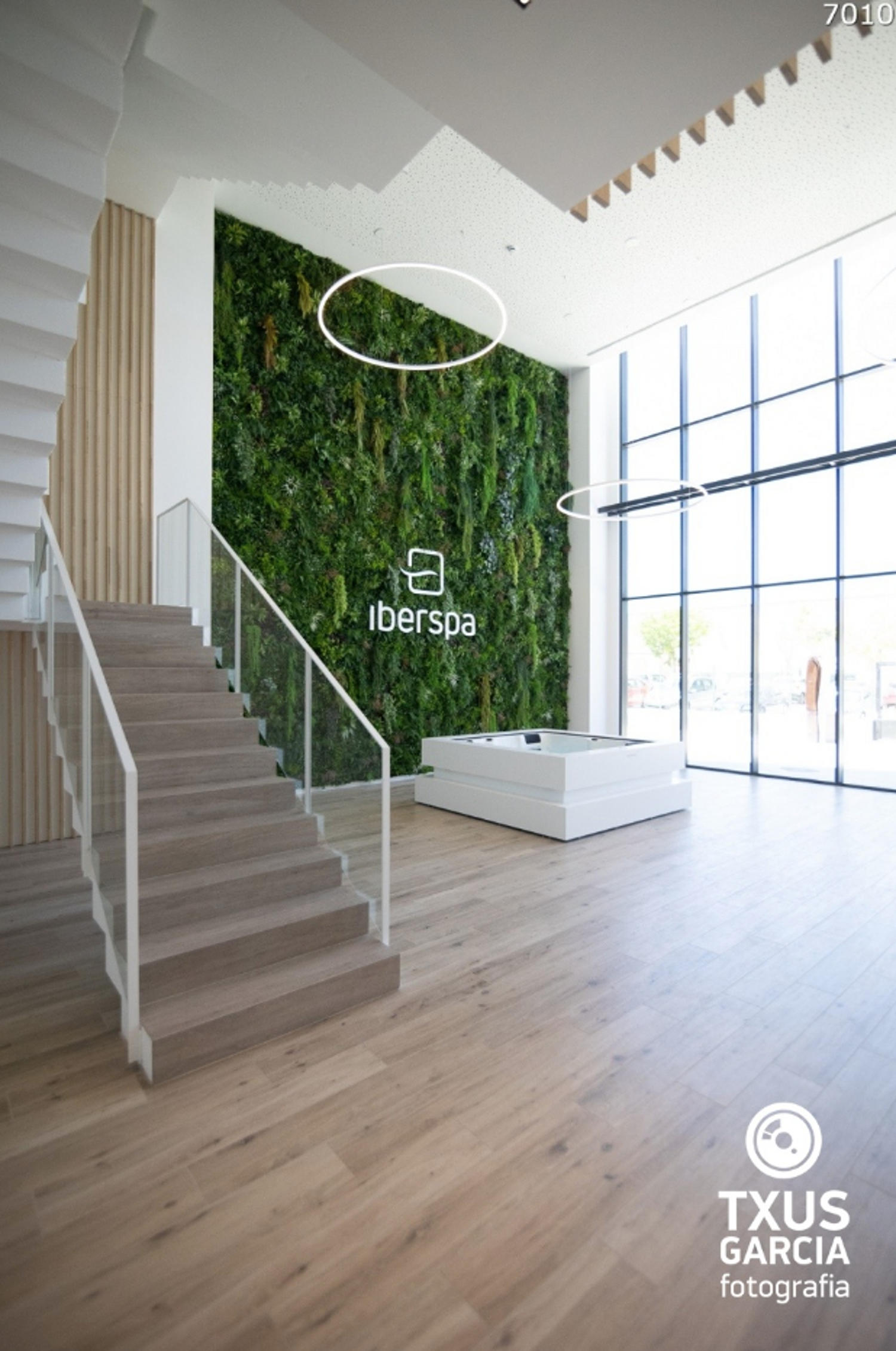 Selekted | Plataforma para mentes creativas
